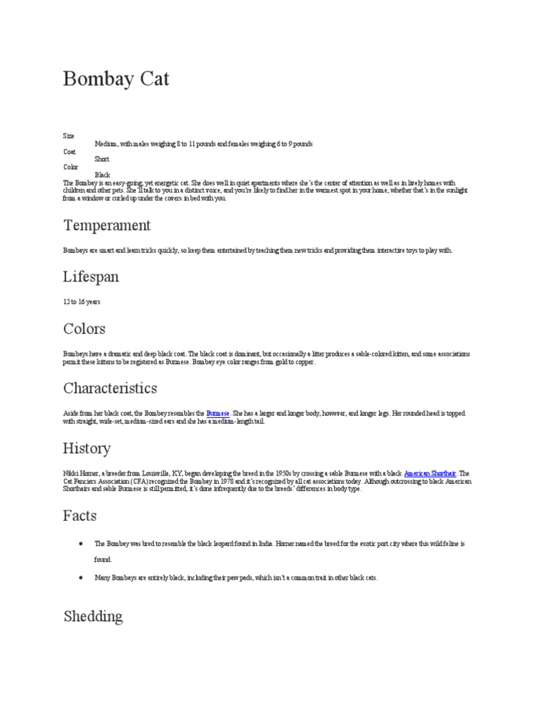 Bombay Cat | PDF | Cats | Cat Types