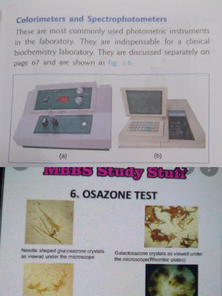 Biochemistry Spottings Imp | PDF
