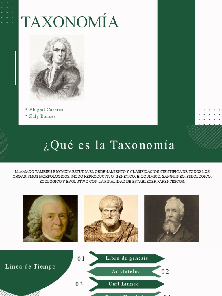TAXONOMIA | PDF
