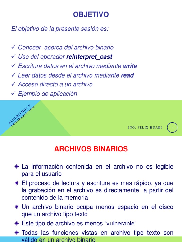 Archivos Binarios | PDF