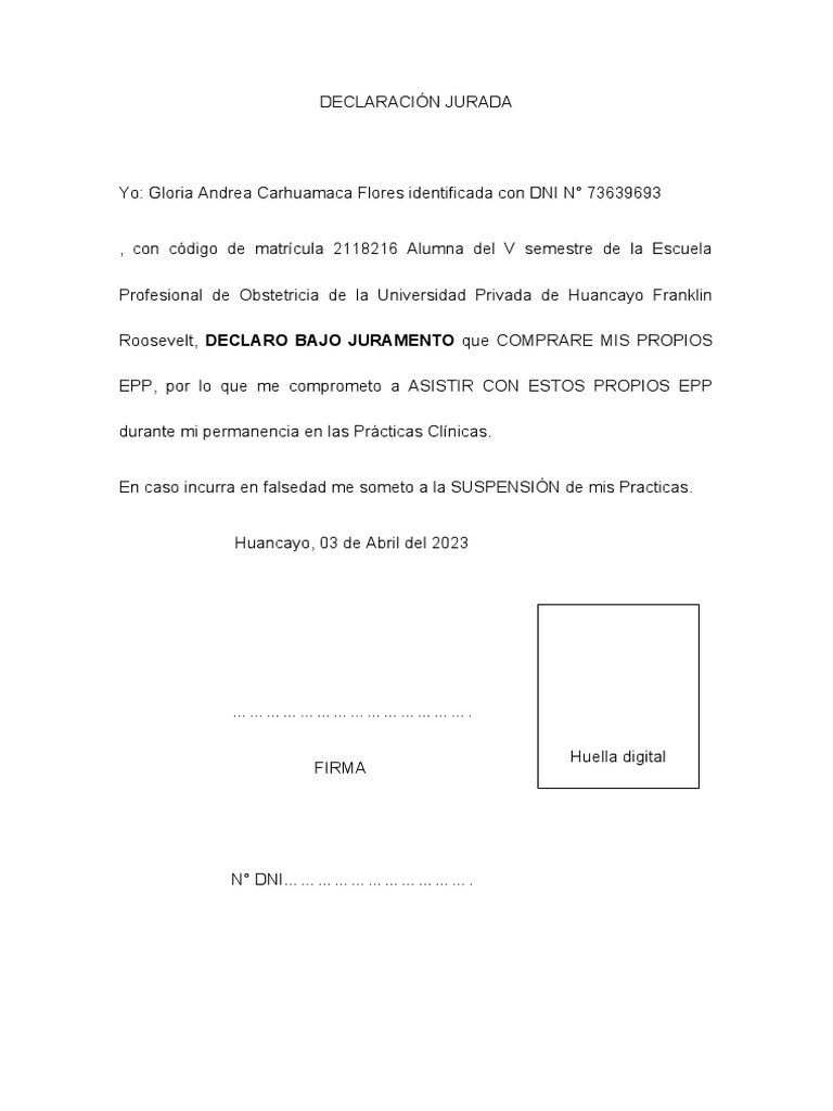 Declaración Jurada de Epp | PDF