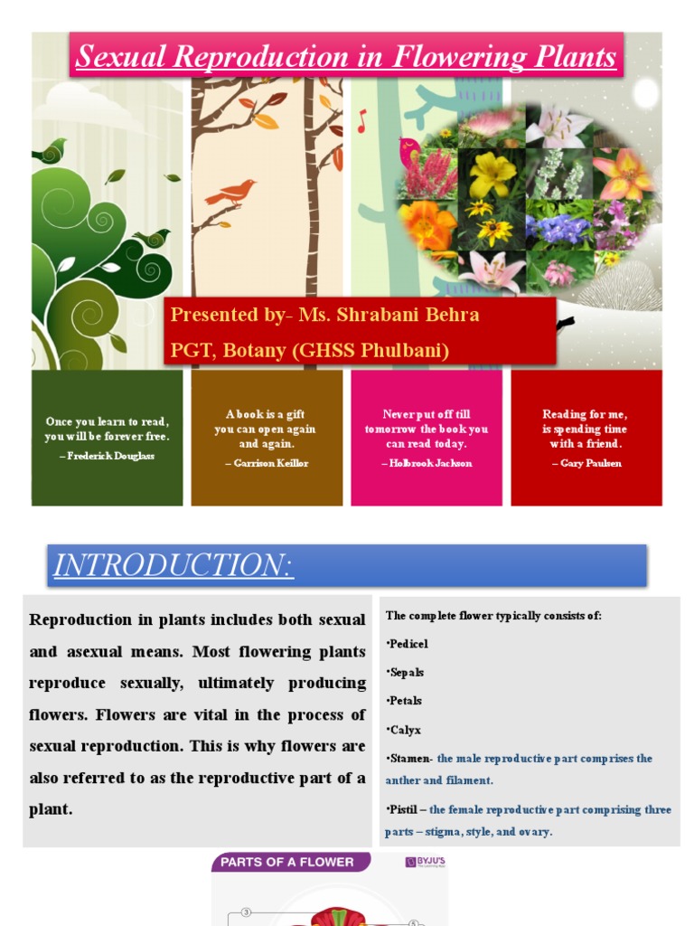 Sexual Reproduction In Flowering Plants Pdf Flowers Seed 0084