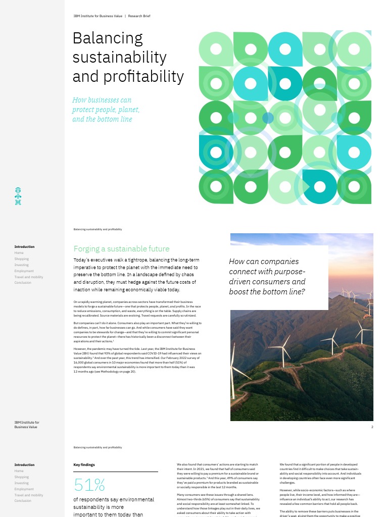 IBV - Balancing Sustainability and Profitability-3 | PDF