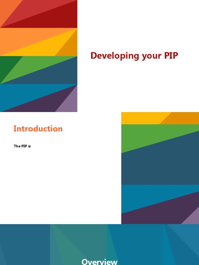 Guide to Developing Your PIP | PDF