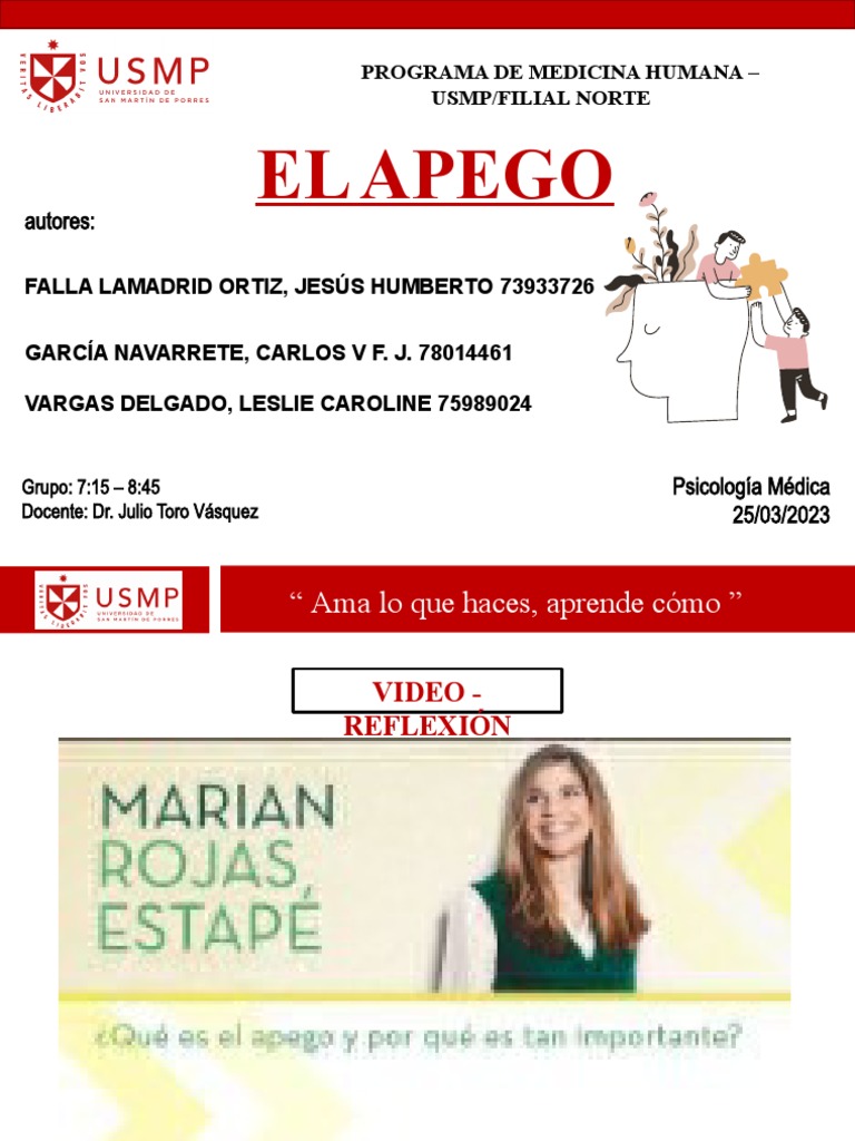 Apego Expo 3 Psico | PDF