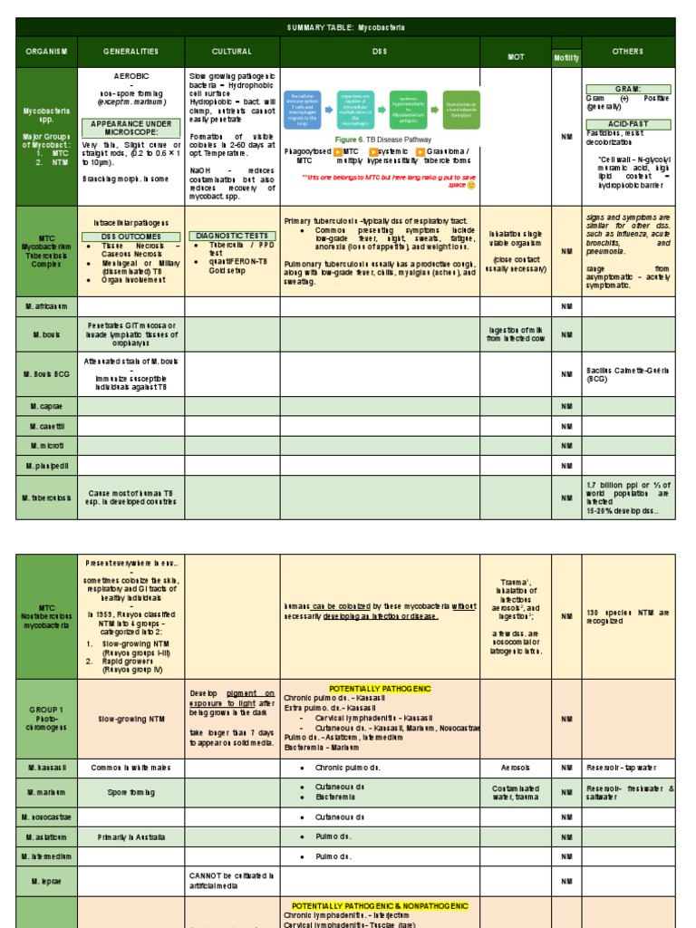 Summary Tables L10 - L12 | PDF | Tuberculosis | Infection