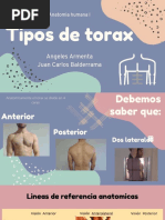 Tipos de Tórax y Deformaciones | PDF