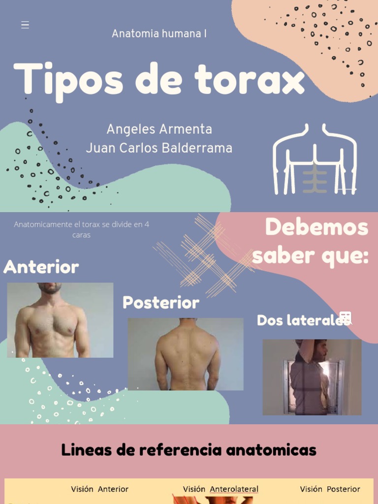 Tipos de Torax | PDF