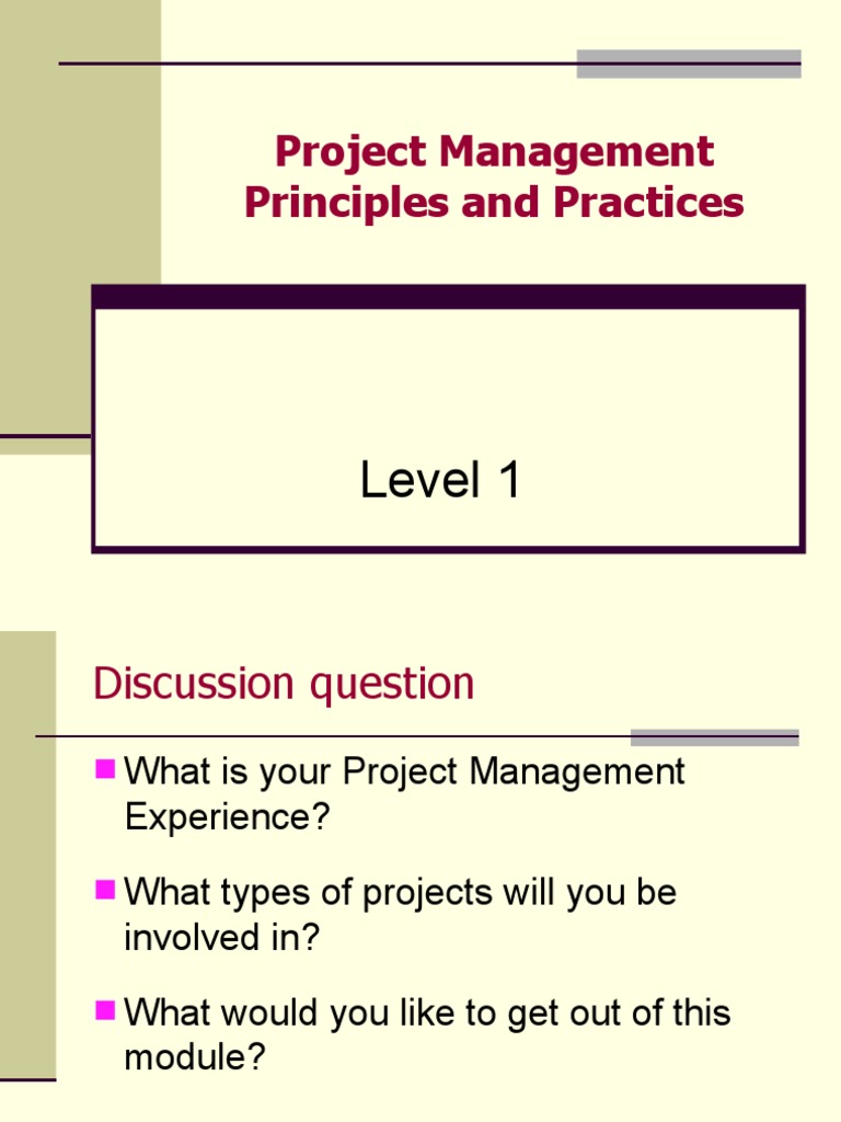 Project Management Practice and Principles-Revised2 | PDF