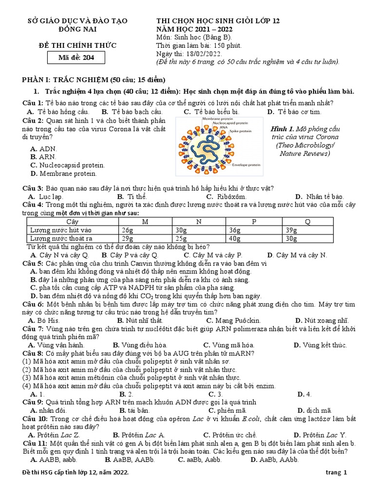 DE GOC 2021-2022 - (Thongnhat1.2) | PDF