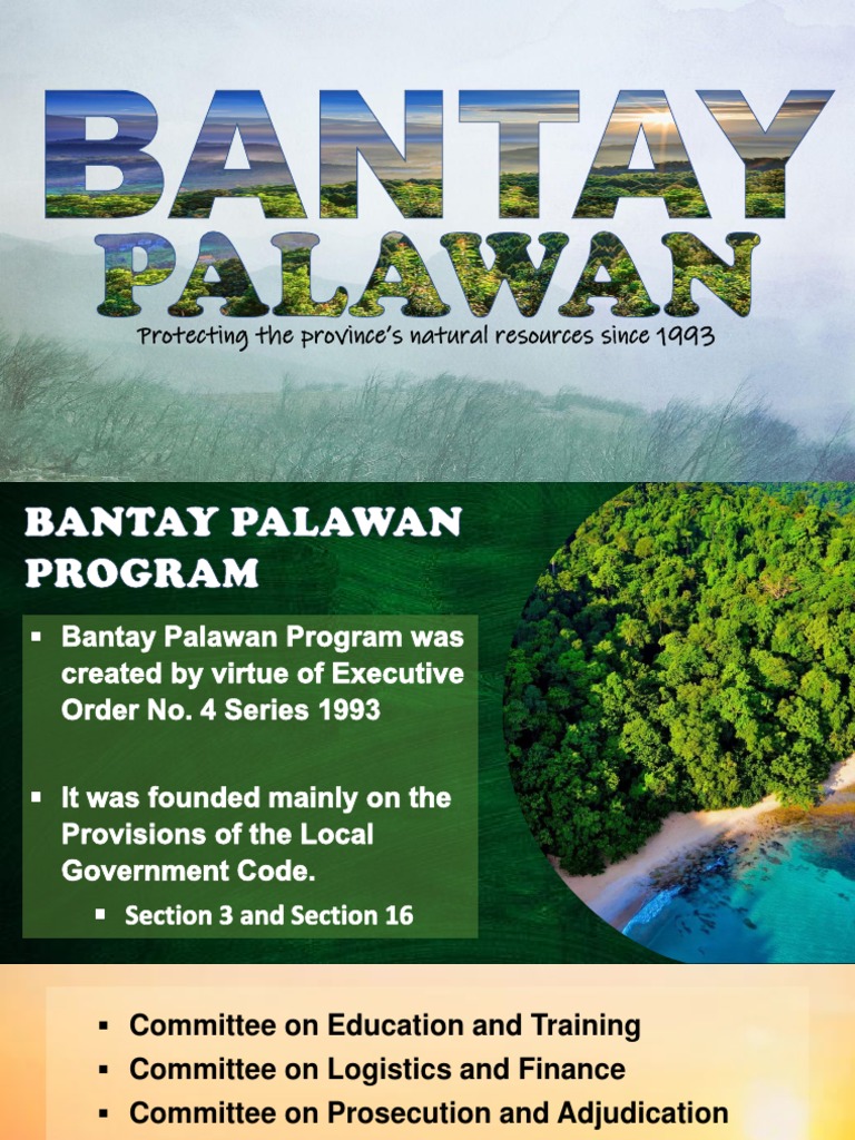 1_LGU-PROGRAMS_BANTAY-PALAWAN | PDF