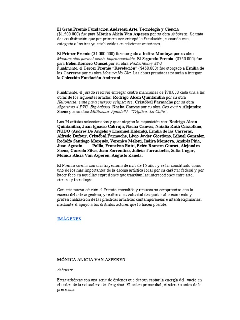 Fundac-Andreani-premio-2023-NOTA-MercedesPerezBergliaffa-Revista Ñ | PDF | Arte