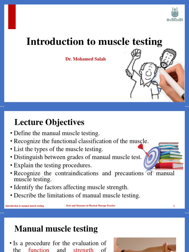Lecture 1 (Introduction To Manual Muscle Testing) | PDF | Anatomical ...
