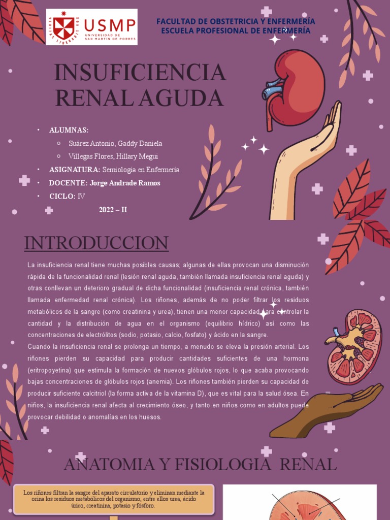 Insuficiencia Renal Aguda | PDF