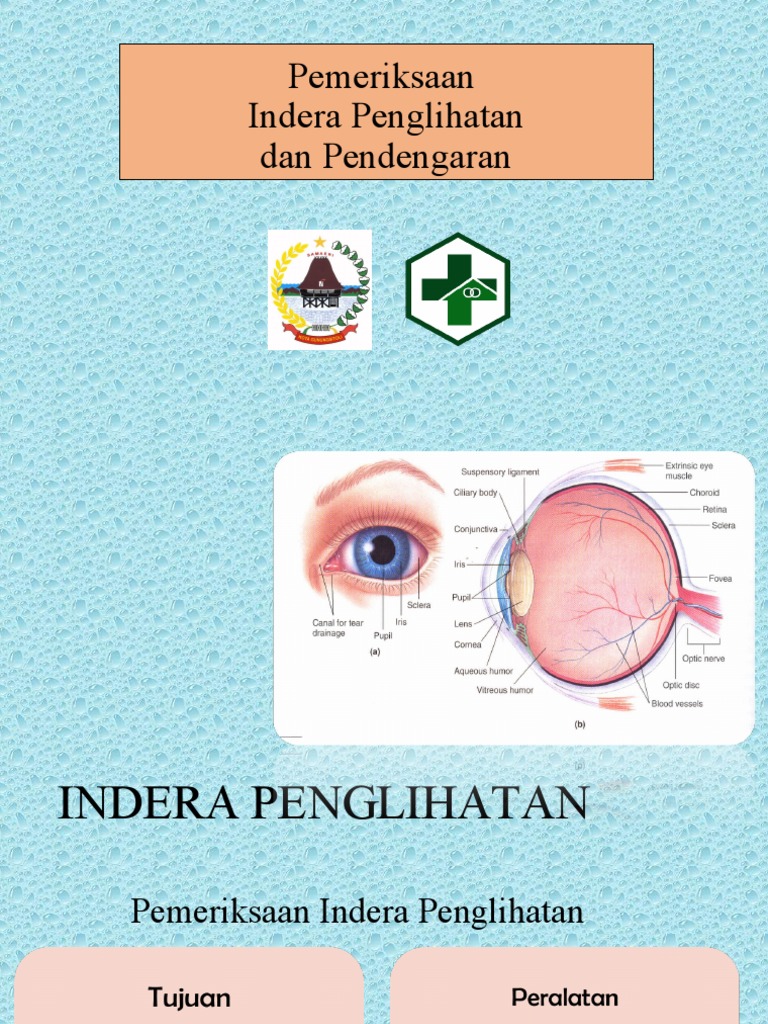 Kesehatan Indera | PDF