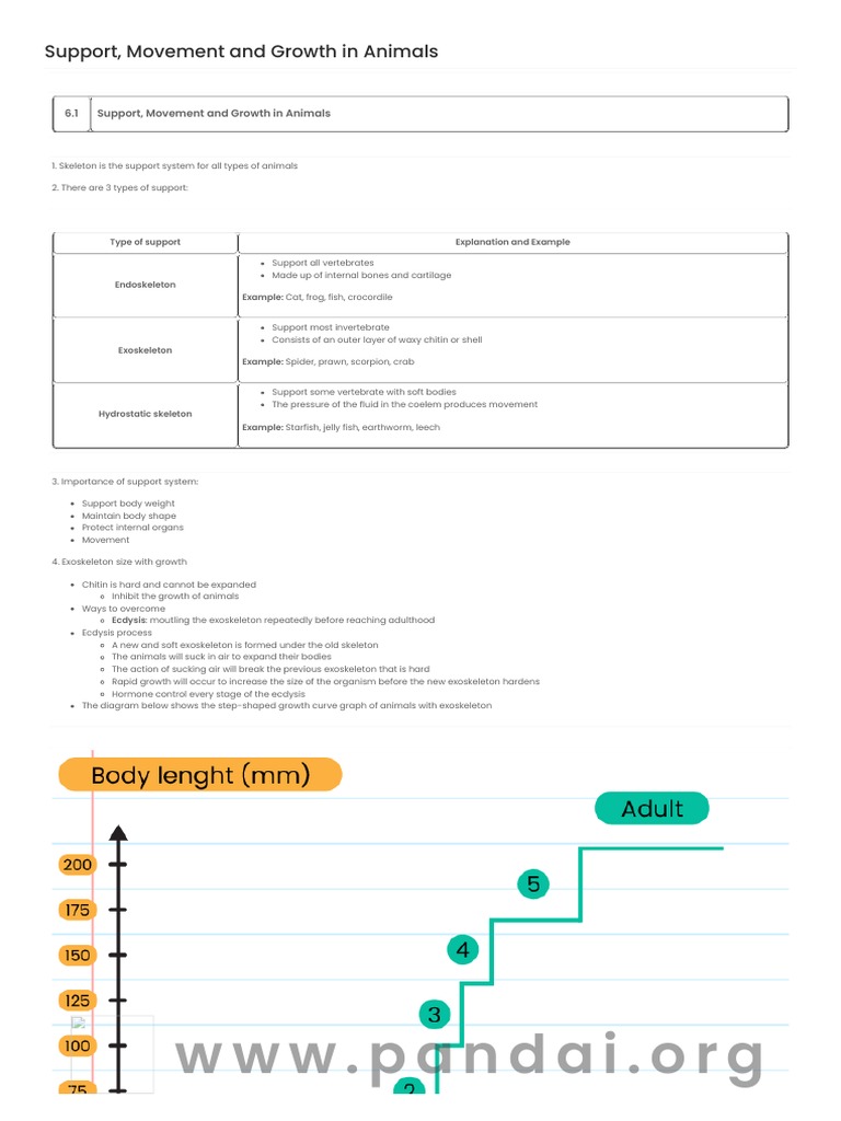 Animal Support and Movement Systems | PDF | Science & Mathematics