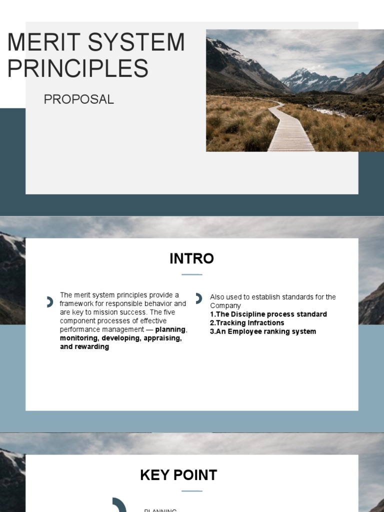 Merit System Proposal | PDF | Incentive | Employee Retention