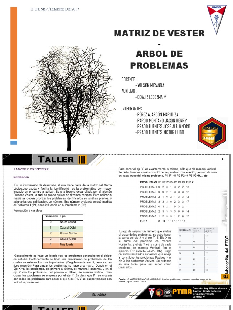 Árbol de Problemas El Abra SAcaba | PDF | Agua | Matriz (Matemáticas)
