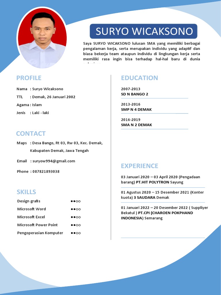 Suryo CV | PDF