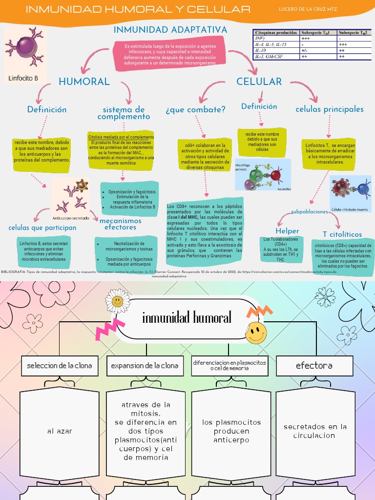 Inmunidad Humoral y Celular | PDF