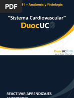 Prueba de Llenado Capilar: Procedimiento y Valores | PDF