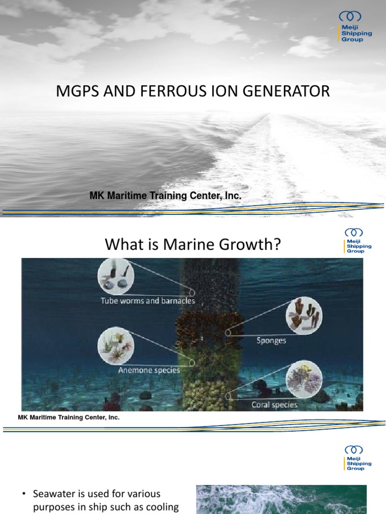MGPS and Ferrous Ion Generator | PDF | Anode | Cathode