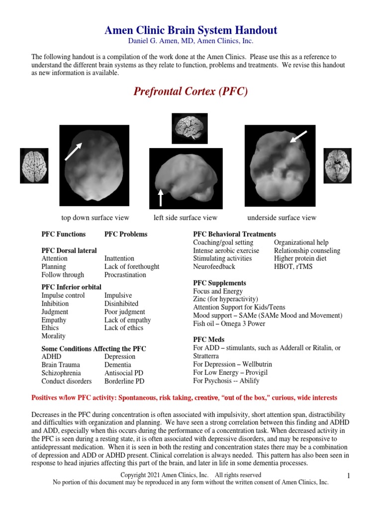 Brain Systems Handout | PDF | Attention Deficit Hyperactivity Disorder ...
