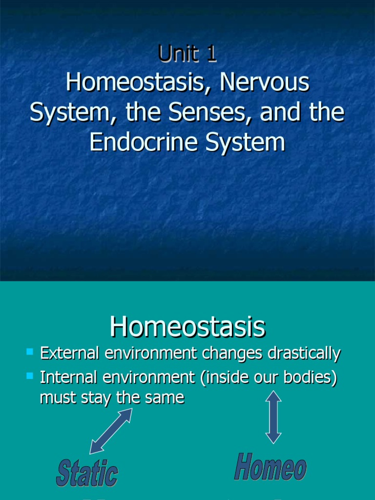 1 Homeostasis Notes | PDF