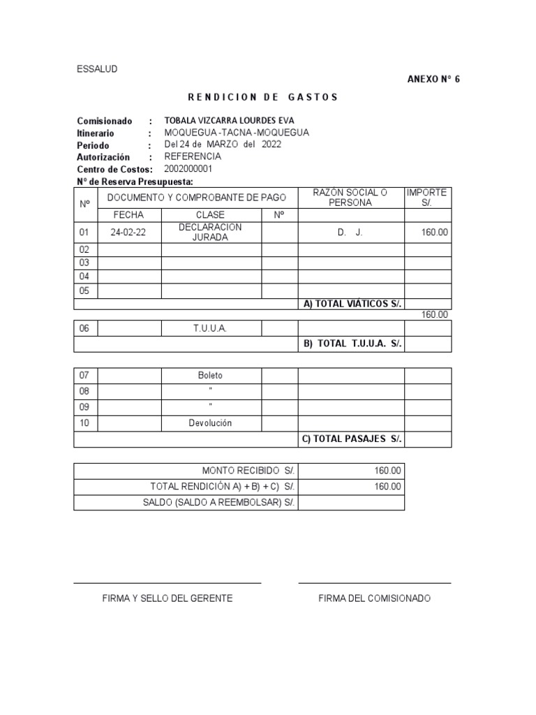 Rendicion de Gastos | PDF