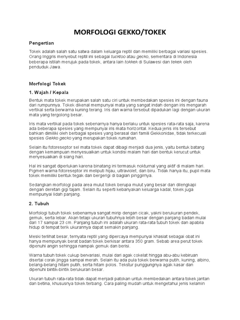 Morfologi Dan Taksonomi TOKEK | PDF