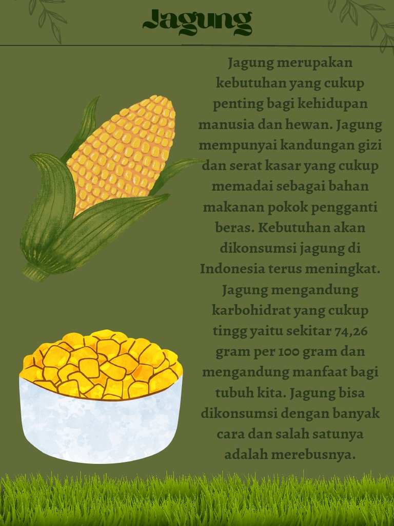 Poster Manfaat Jagung sebagai Pangan Lokal | PDF