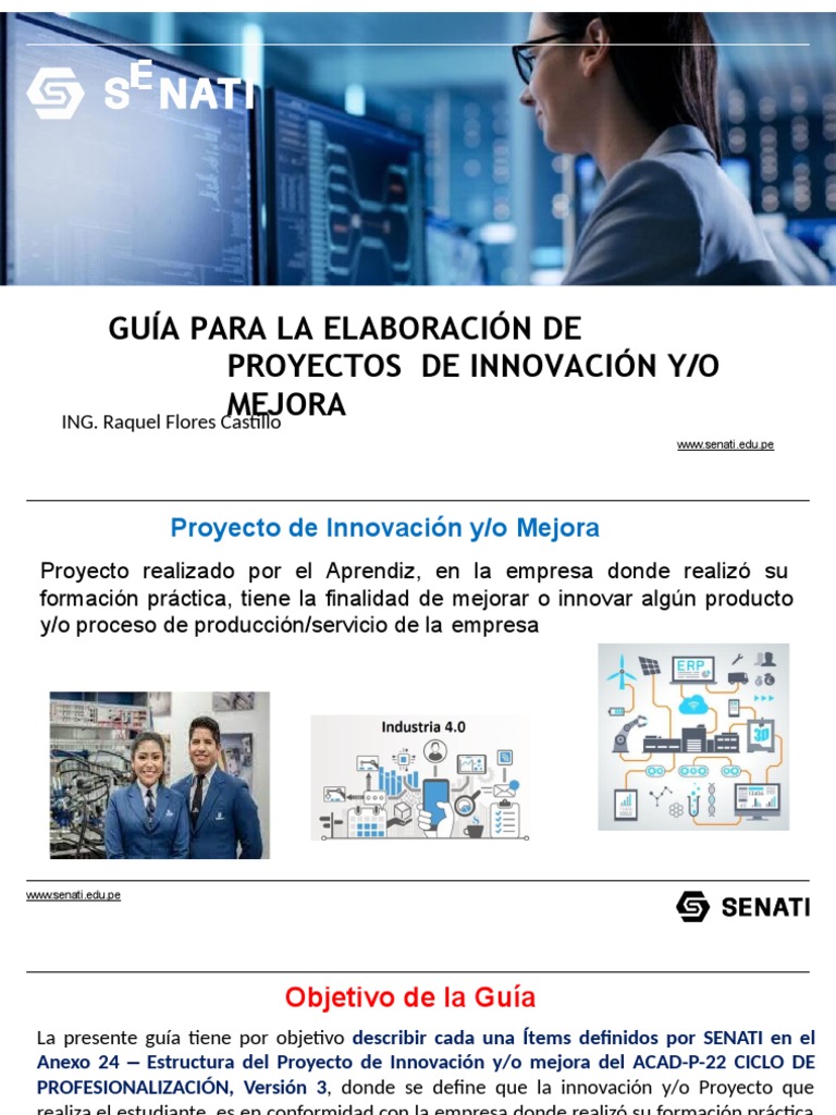 Guia para La Elaboracion de Los Proyectos de Innovacion | PDF | Innovación | Business