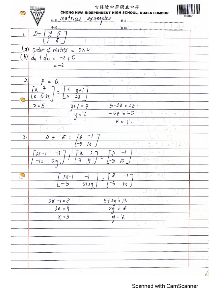 Matrices Examples | PDF