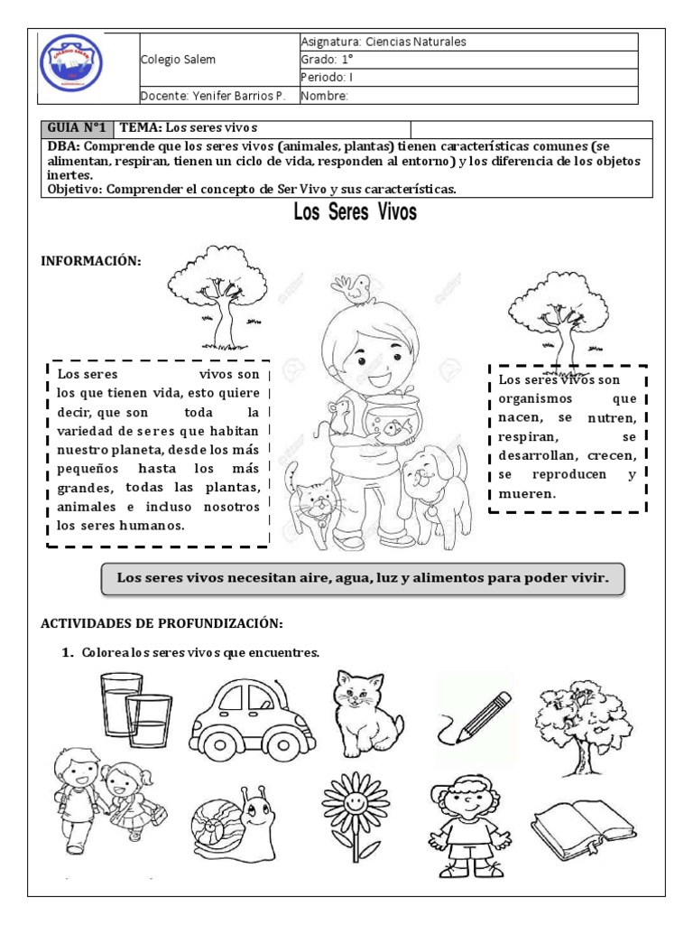 Guia 1 Seres Vivos 1º | PDF