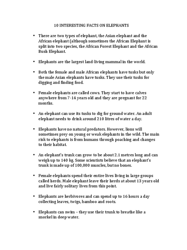 10 Interesting Facts On Elephants | PDF | Elephant | Mammals