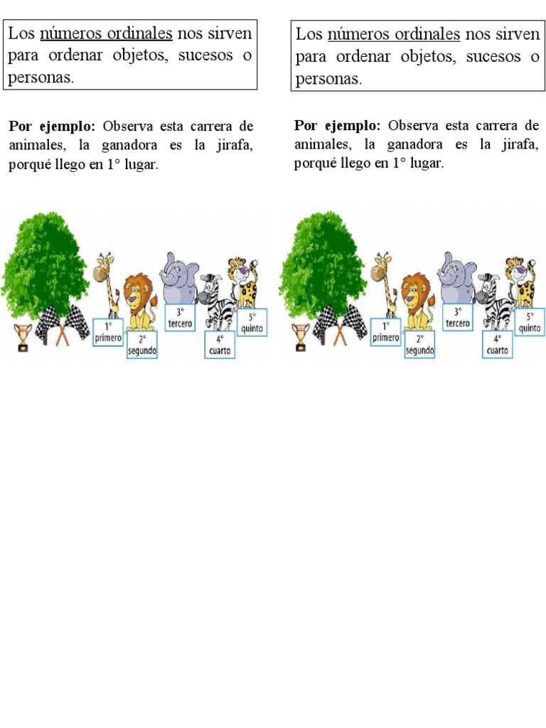 Actividades de Números Ordinales para Niños | PDF