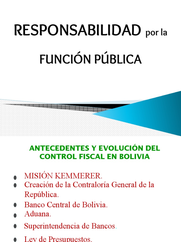 Responsabilidad Por La Función Pública | PDF | Auditoría | Contralor