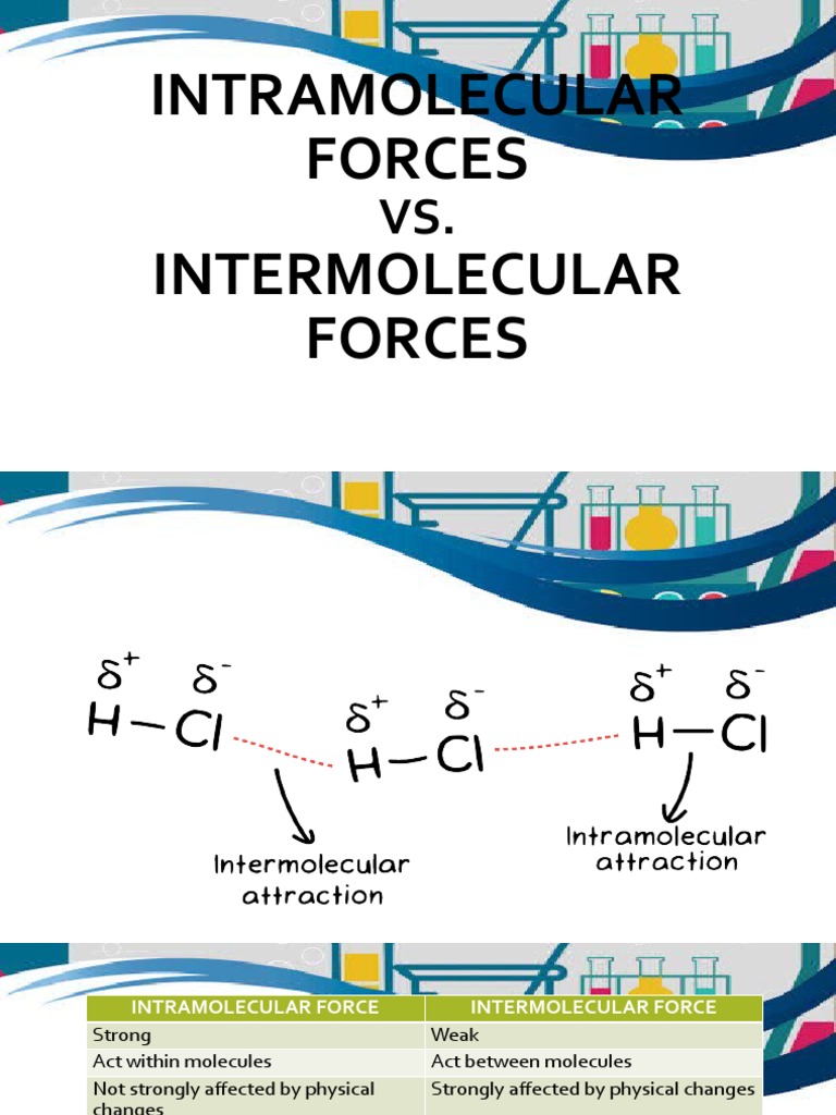 Intramolecular Forces and Intermolecular Forces | Download Free PDF | Chemical Bond ...