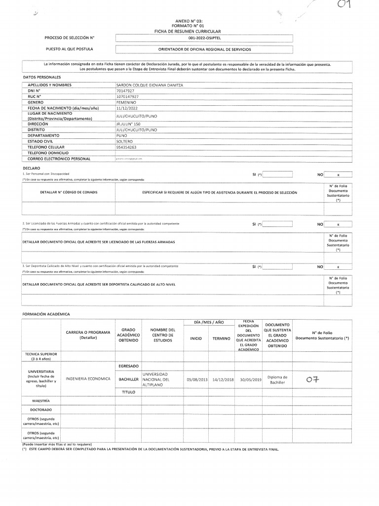 CV Giovana Danitza Sardon Colque | PDF