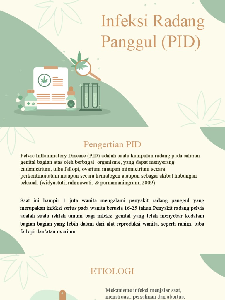 3C - Pid (PPT) 2 | PDF