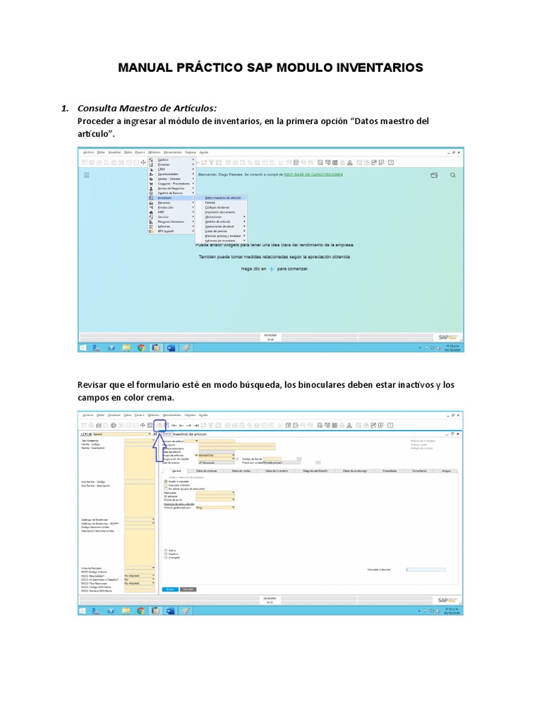 Manual SAP Inventarios | PDF