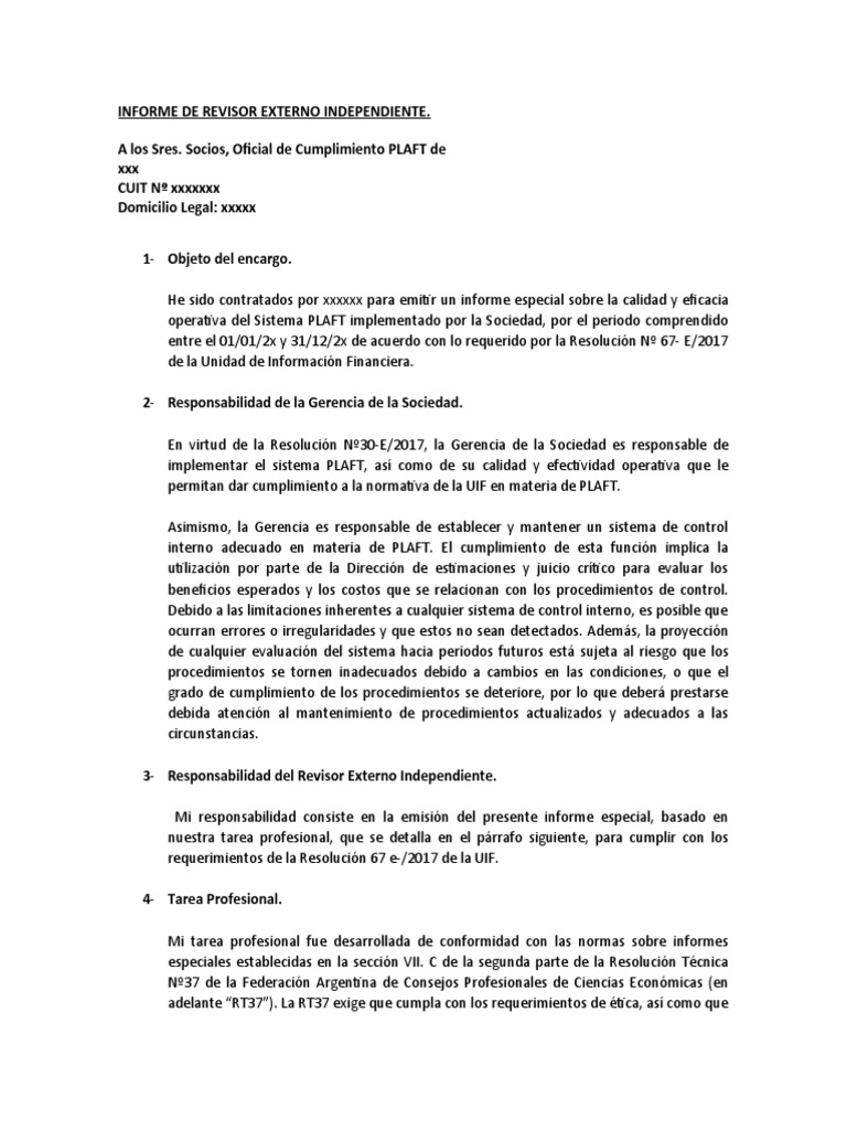Informe Especial de Revisor Externo Independiente | PDF | Sociedad