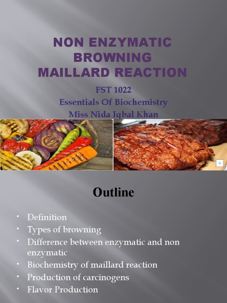 Understanding the Maillard Reaction | PDF