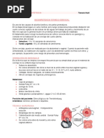 Protocolo de Cerclaje Cervical | PDF | Parto | El embarazo