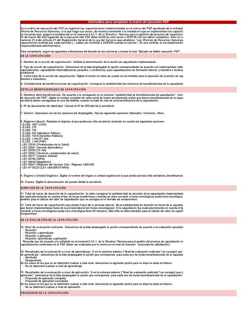Matriz de Ejecución Del PDP (NUEVO) | PDF