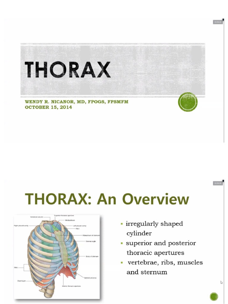2. Thorax and Breast Anatomy - 16th march | PDF