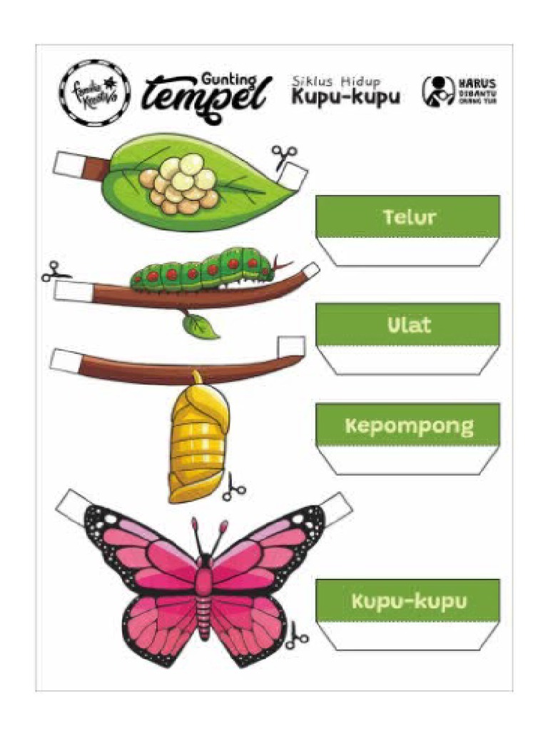 Siklus Hidup Kupu-Kupu | PDF
