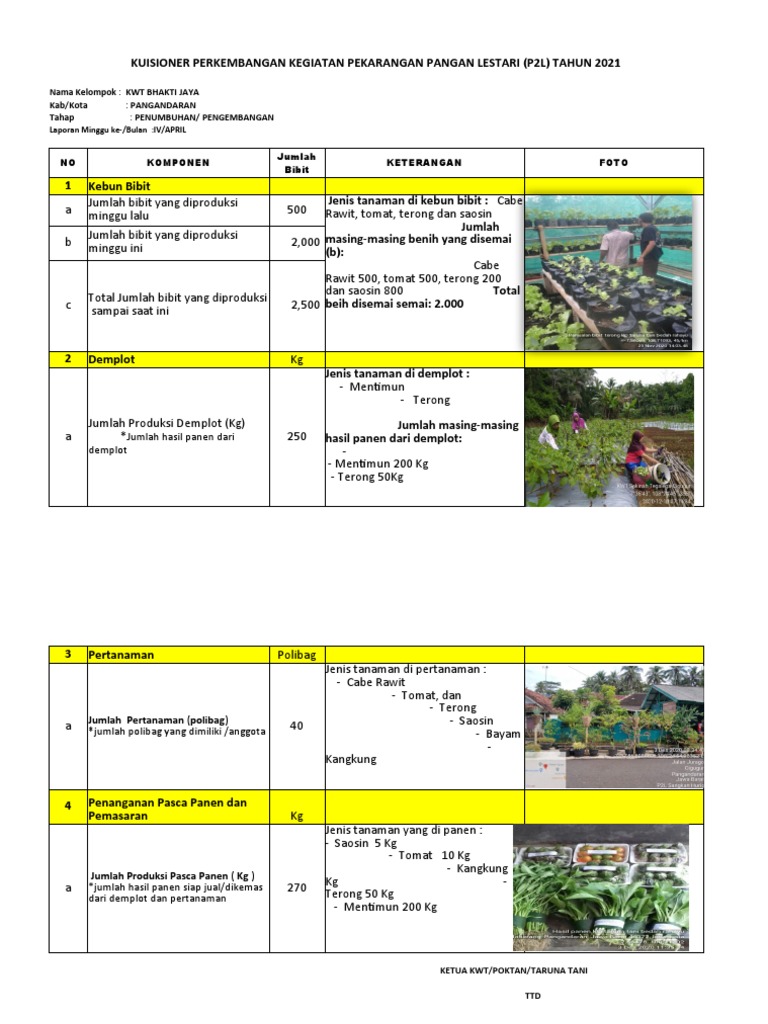 Laporan Kegiatan P2L 2021 KWT Bhakti Jaya | PDF