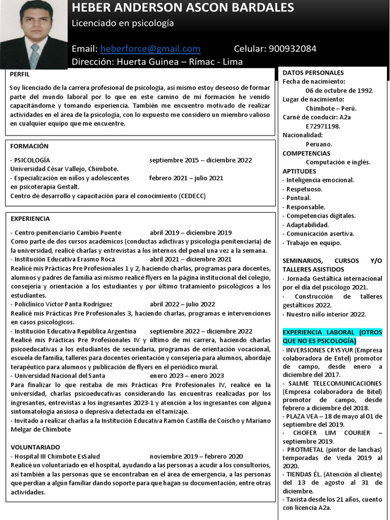 Curriculumvitae Heberasconbardales-1 | PDF