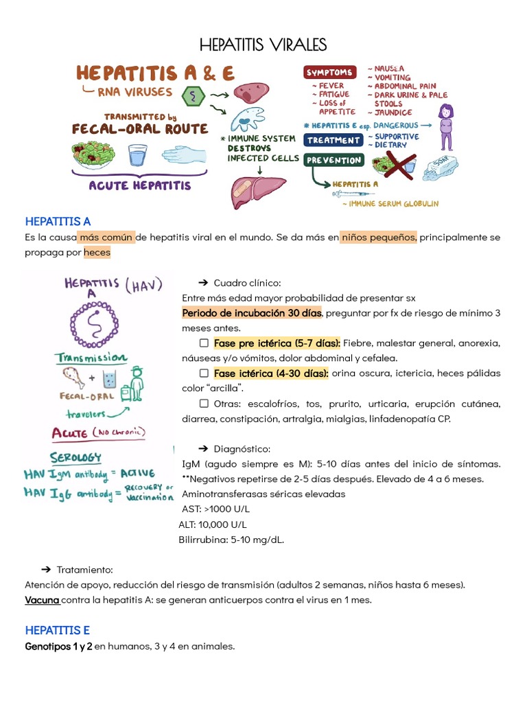 Guía Completa sobre Hepatitis Viral | PDF | Hepatitis | Hepatitis B